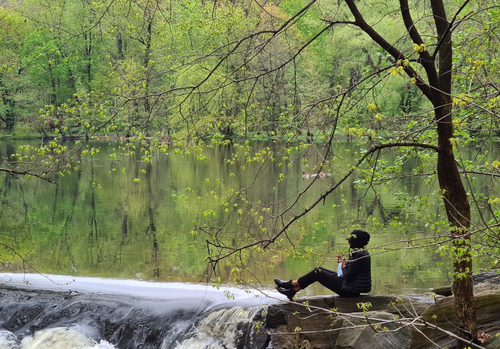 The Introvert & the Mask ©Dawn Minott – Poems & More