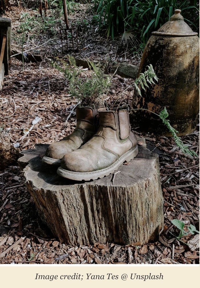 Roots©️ | an Idyll Haibun – Poems & More